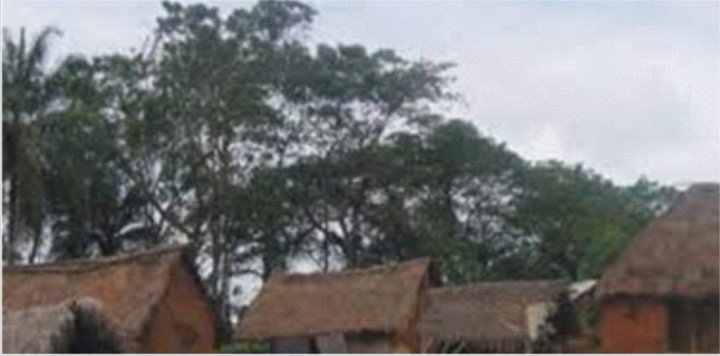 Yenga On Fire - The Exclusive Newspaper